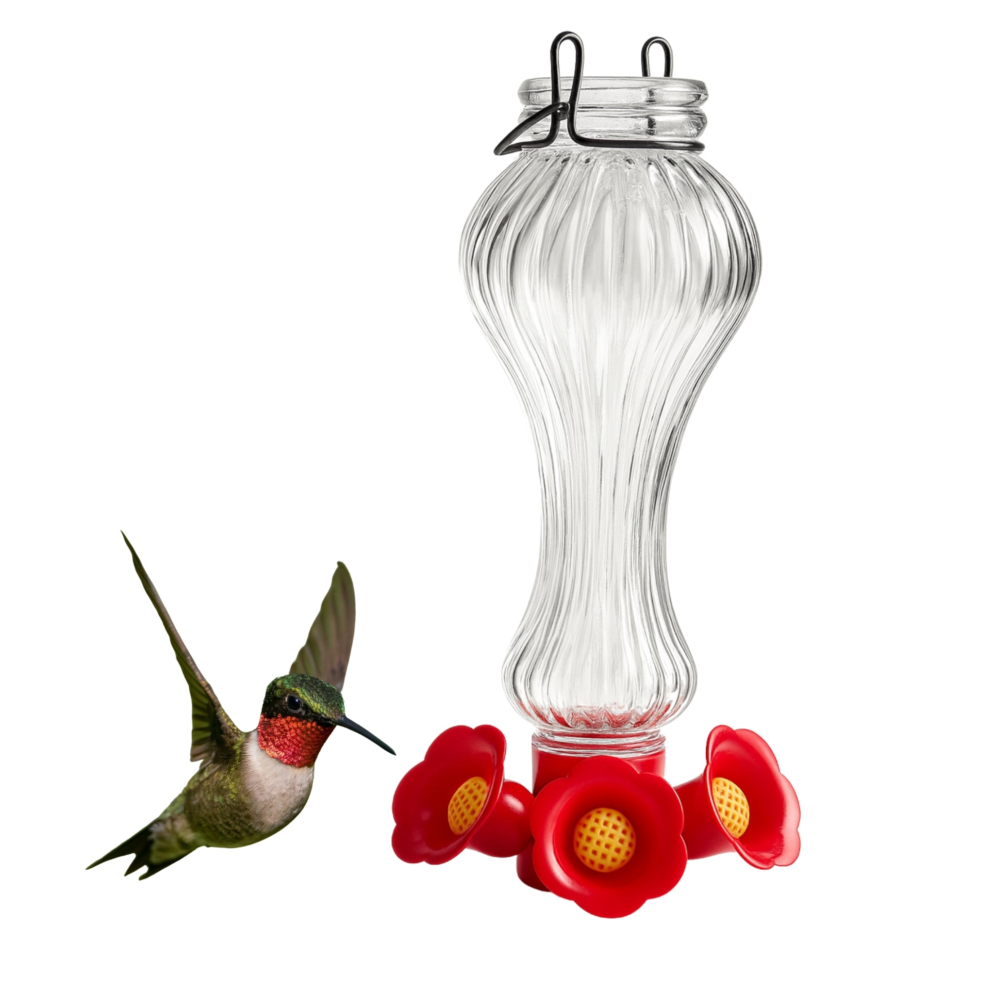 Bebedero para Colibrí de Vidrio con Flores – Cosmos